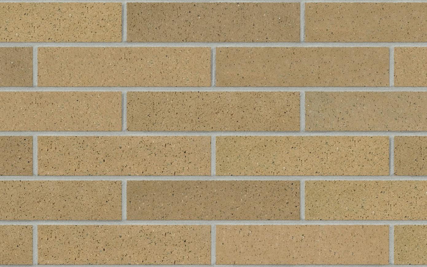 Atlas™ 8 x 3-9/16 x 16 | Brickworks Supply